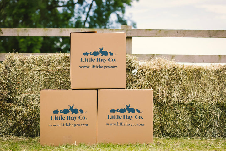 Delicious, Premium Hay Boxes in UK – The Little Hay Company