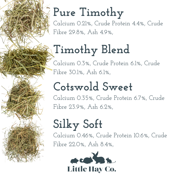 All about hay – The Little Hay Company