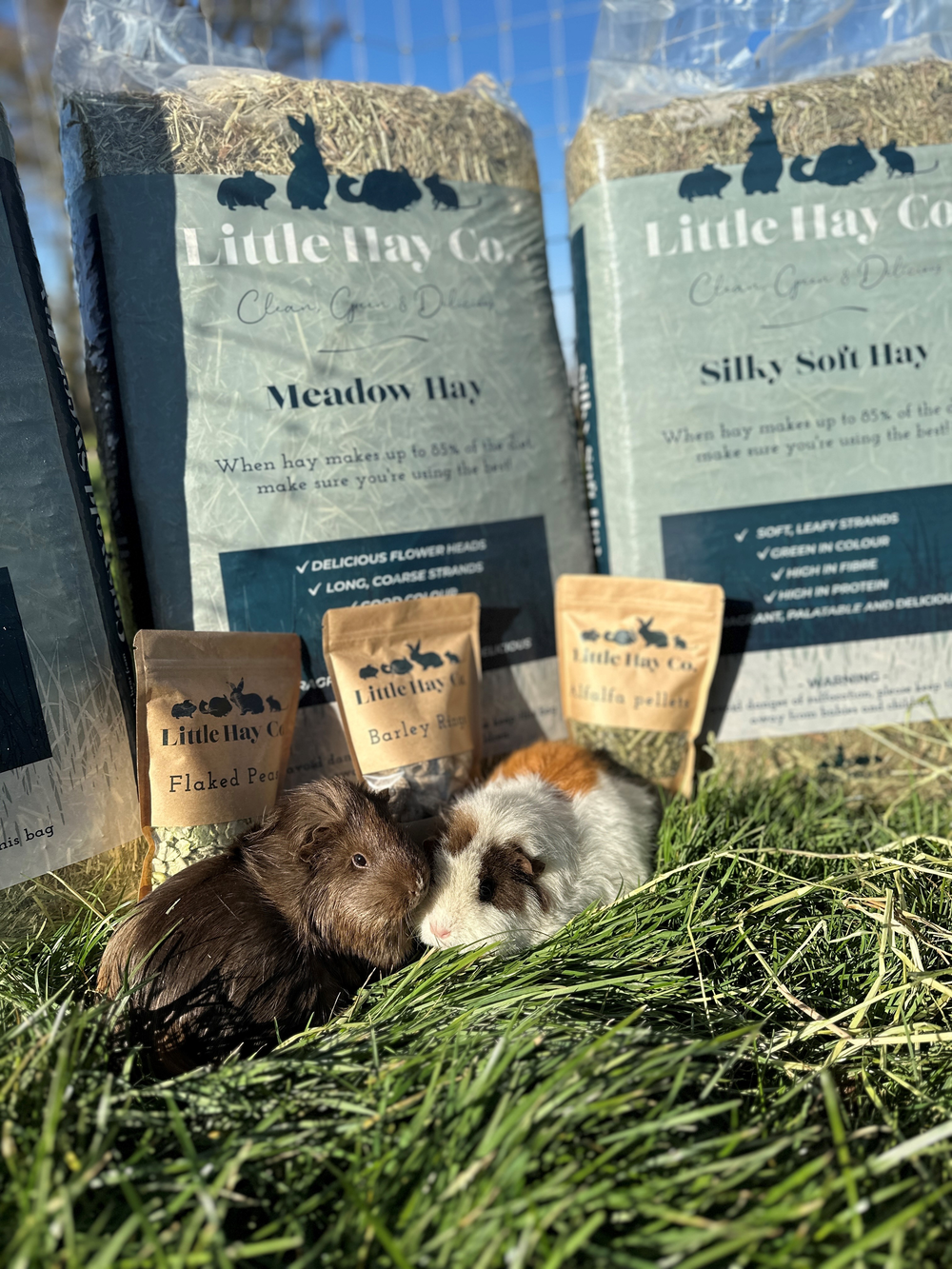 Cotswold Sweet Hay Returns for 2025 – Fresh from the Fields! – The ...