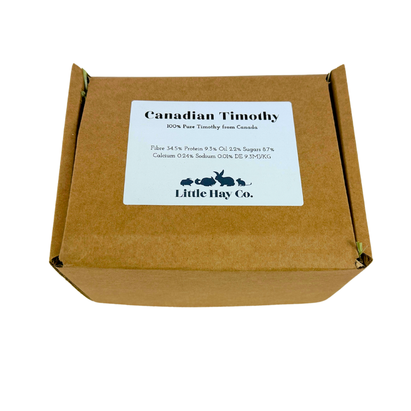 Delicious, Premium Hay Boxes in UK – The Little Hay Company