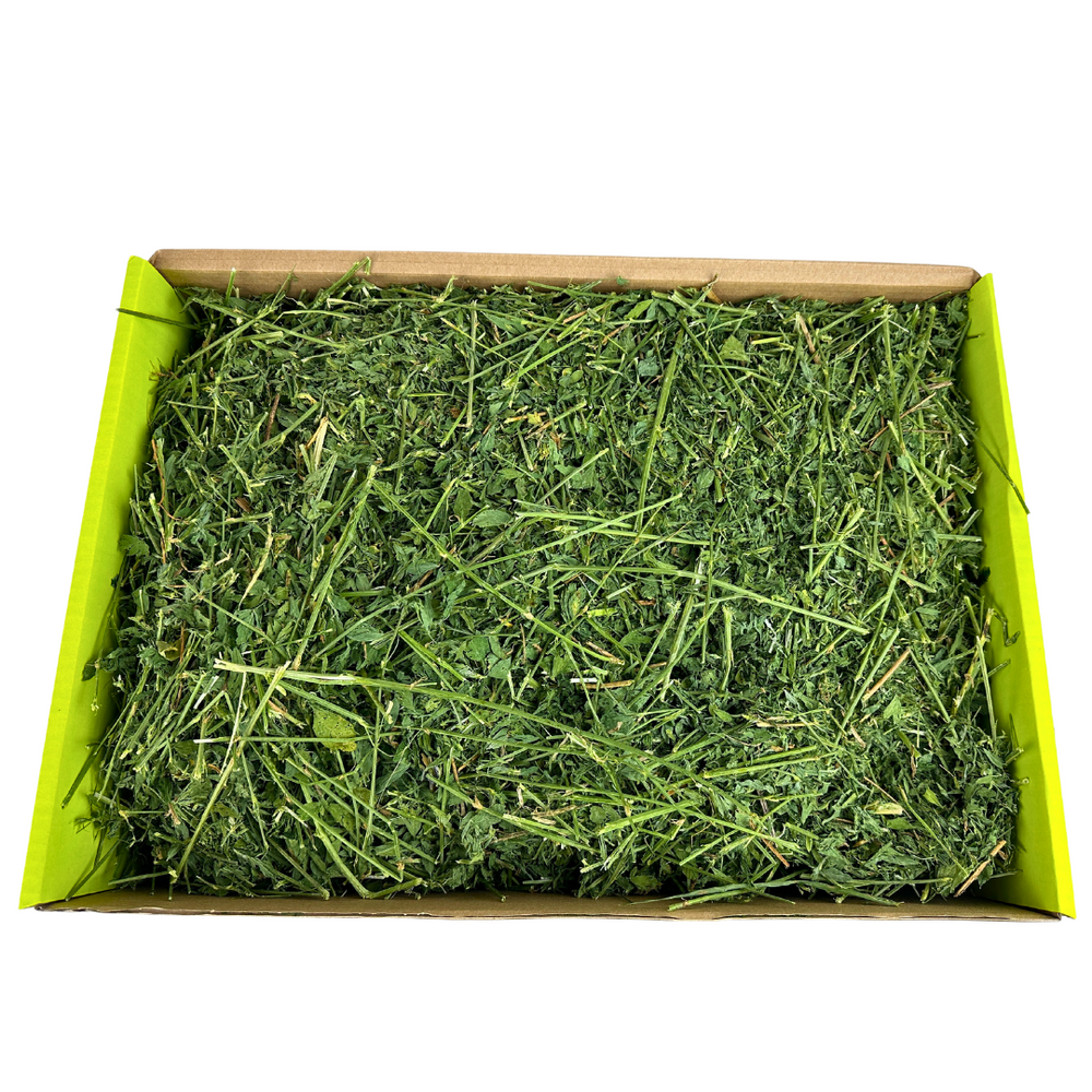 What Hay is Best for Your Rabbit? – The Little Hay Company