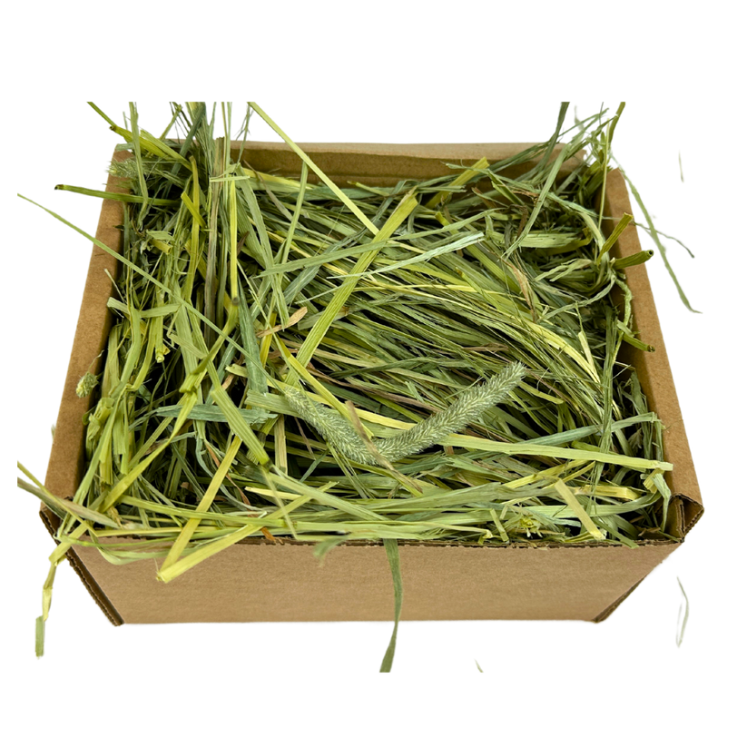 Delicious, Premium Hay Boxes in UK – The Little Hay Company