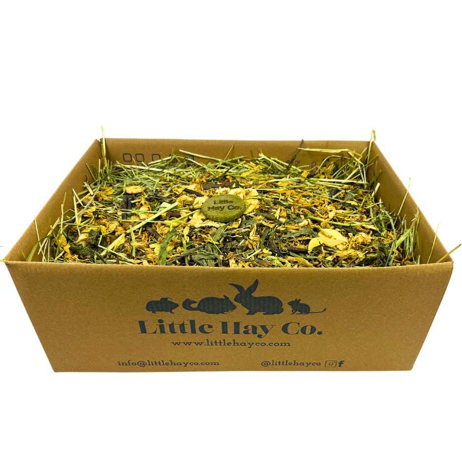 Rabbit Hay UK - Best Hay for Rabbits – The Little Hay Company