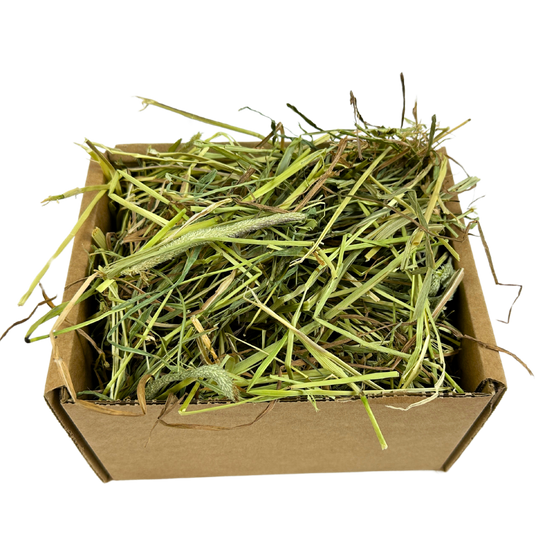 Delicious, Premium Hay Boxes in UK – The Little Hay Company