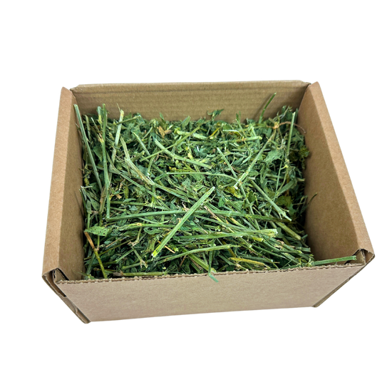 Delicious, Premium Hay Boxes in UK – The Little Hay Company