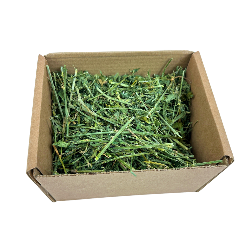 Delicious, Premium Hay Boxes in UK – The Little Hay Company