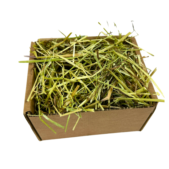 Delicious, Premium Hay Boxes in UK – The Little Hay Company