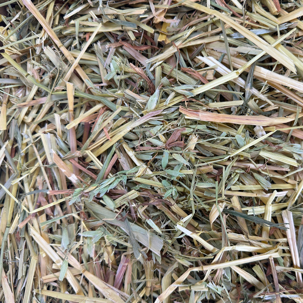 Meadow Hay & Timothy Blend – The Little Hay Company