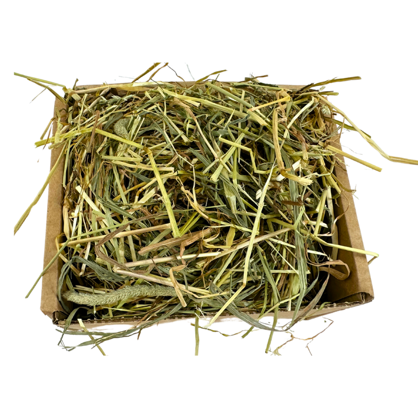 Delicious, Premium Hay Boxes in UK – The Little Hay Company