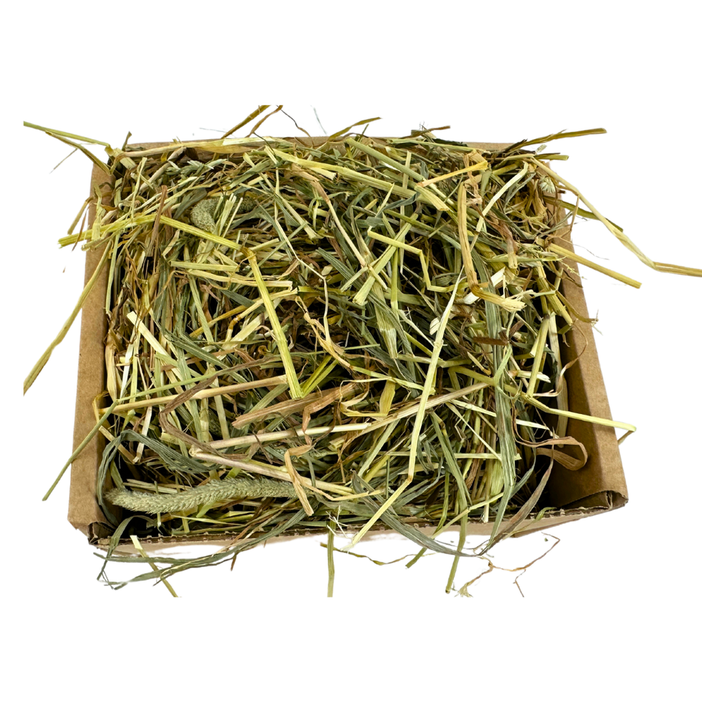 Delicious, Premium Hay Boxes in UK – The Little Hay Company