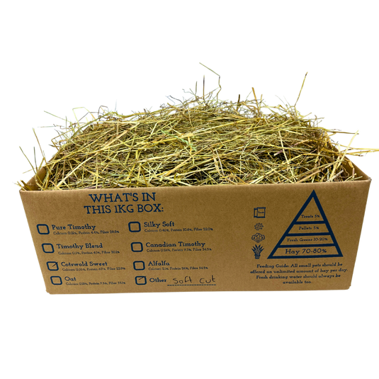 What Hay is Best for Your Rabbit? – The Little Hay Company