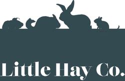 Everything You Need to Know About Timothy Hay - littlehayco.com – The ...