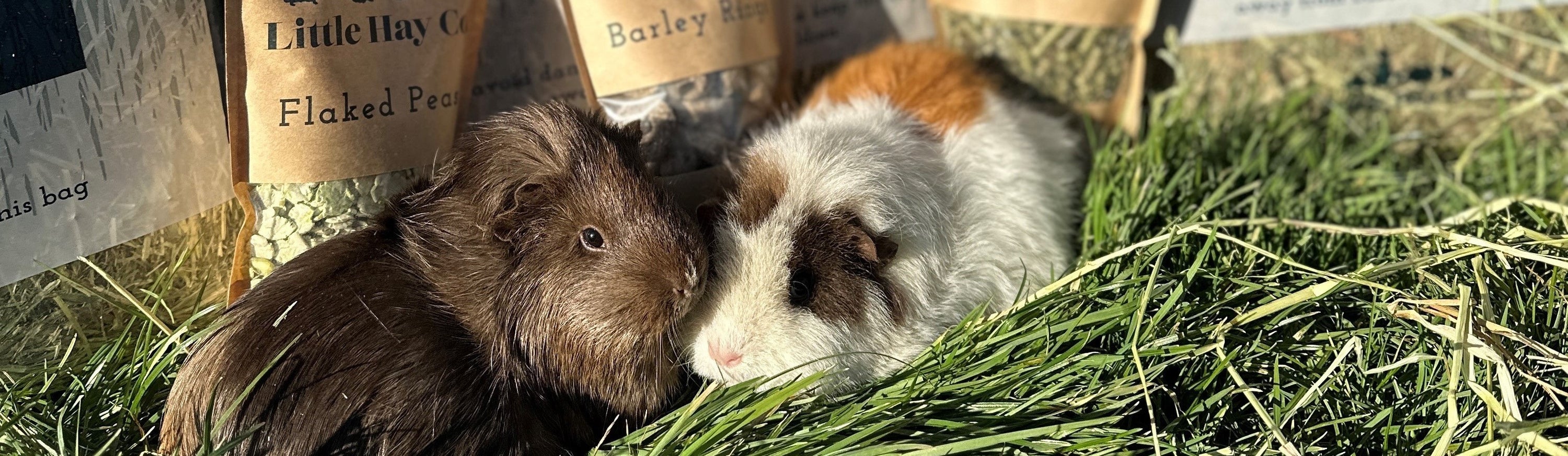 Products – The Little Hay Company