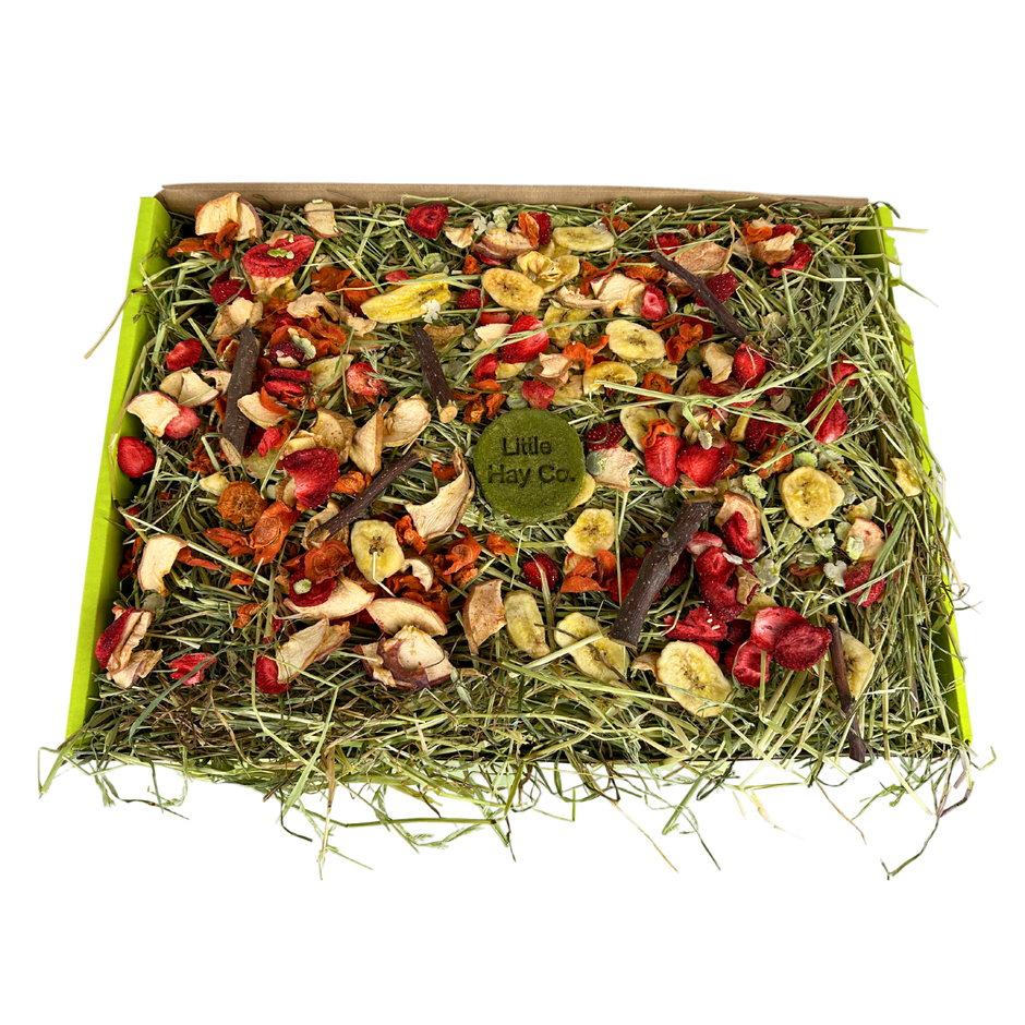 Guinea Pigs Hay - Hay for Guinea Pigs UK – The Little Hay Company