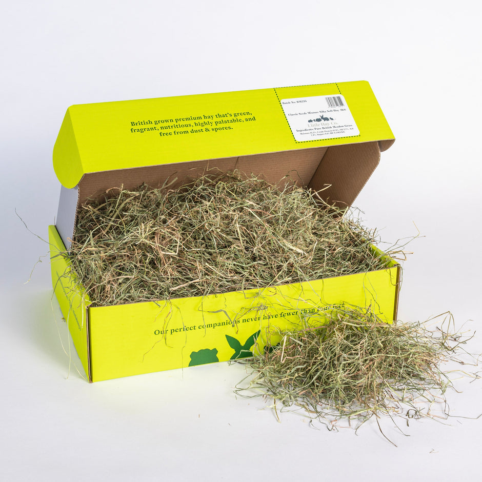 Rabbit Hay UK - Best Hay for Rabbits – The Little Hay Company