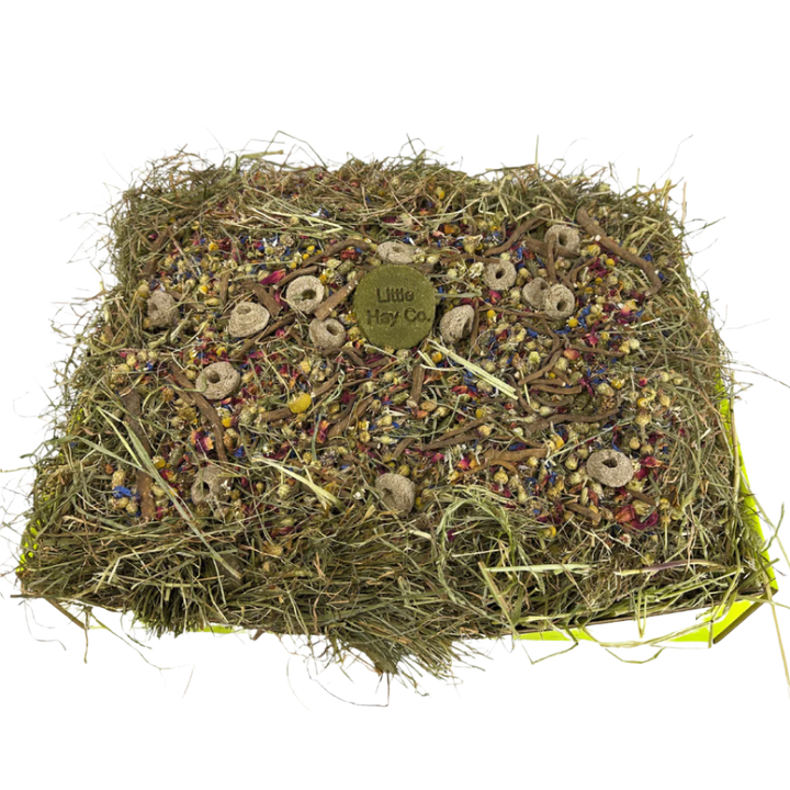 Guinea Pigs Hay - Hay for Guinea Pigs UK – The Little Hay Company